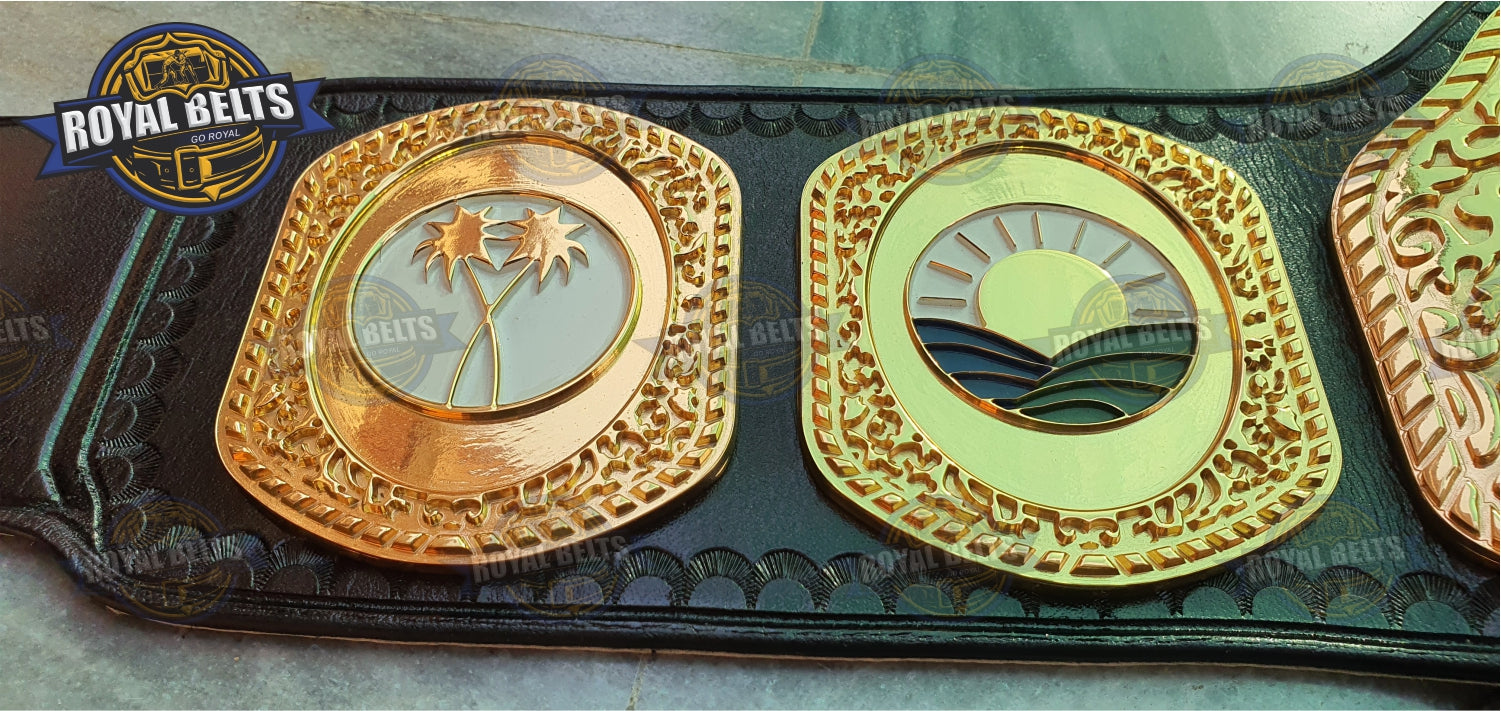 Florida Unified Custom Heavyweight Wrestling Championship Title Belt H ...